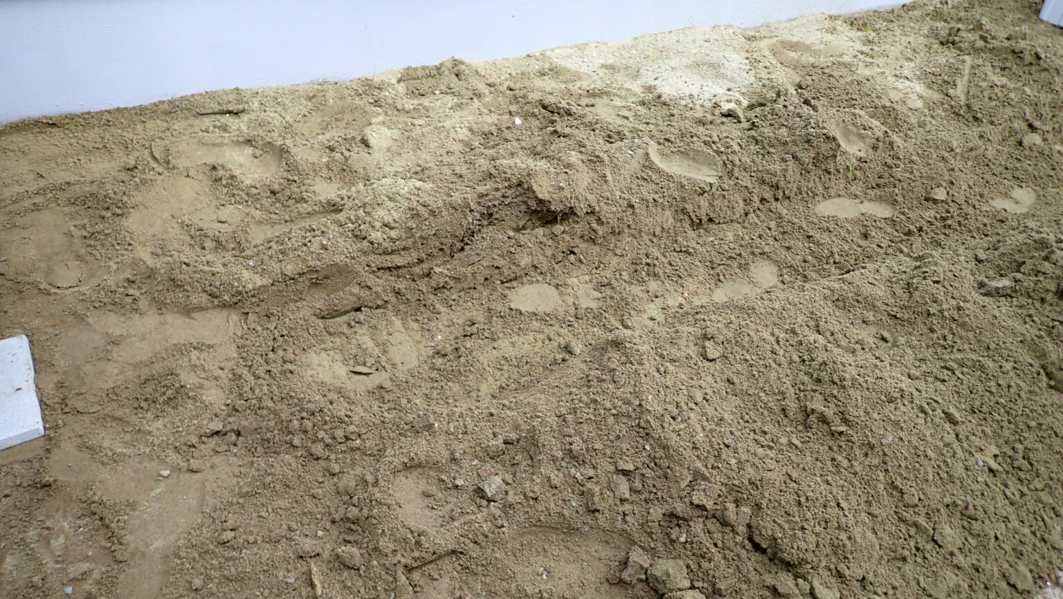 庭整備 | ROCK BOTTOM7